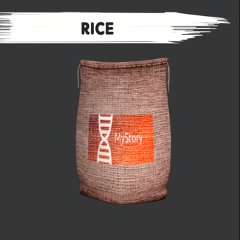 Second Life Marketplace - Rice - [MyStory]* +5 seeds